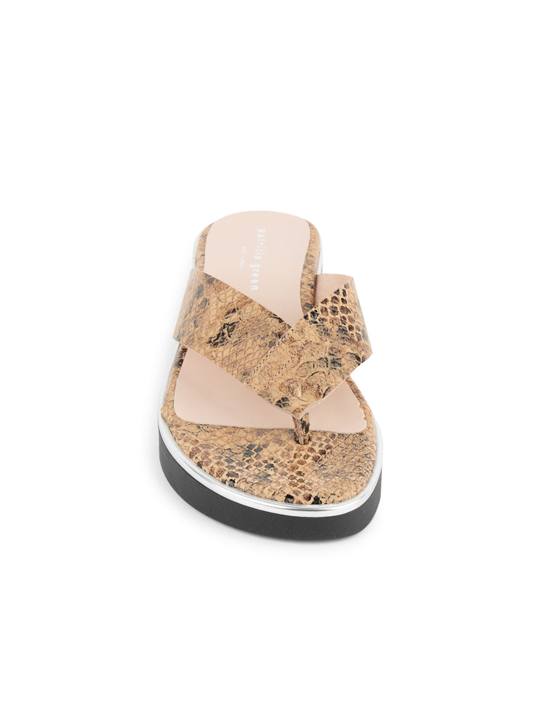 Patricia Green Women’s Casablanca Thong Sandal in Taupe/Black Python